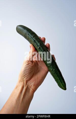 Elongated raw cucumber with background Stock Photo - Alamy
