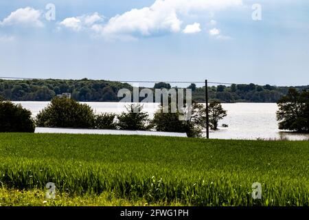 Spring in the Forest, Yddingesøen, Skåne, Sweden Stock Photo - Alamy