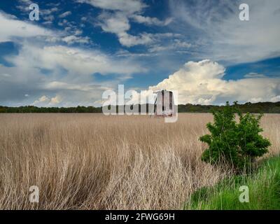 Old windmill on Dingle marshes on the coast near Dunwich Suffolk late ...