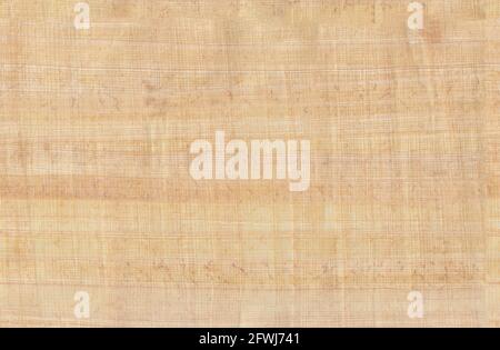 Natural papyrus as background. Traditional Egyptian paper made from the ...