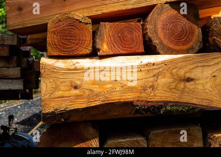 Sawn pit props ready for use Monument Freemine, Forest of Dean ...
