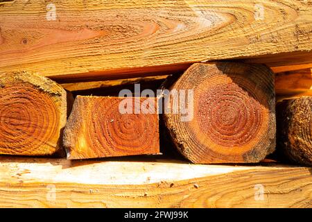 Sawn pit props ready for use Monument Freemine, Forest of Dean ...