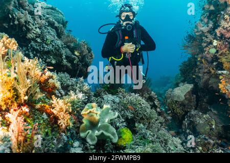woman exploring the ocean at Raja Ampat / Indonesia Stock Photo - Alamy