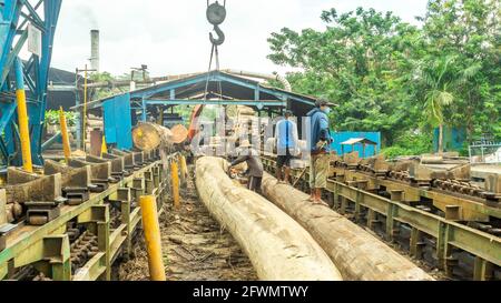 Log of timbers being processed as the raw material for plywood ...
