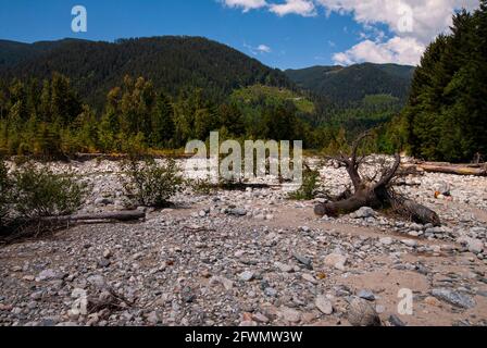 Driftwood at Norrish Creek in Dewdney, Mission, British Columbia ...
