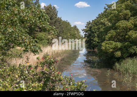 The little River Alver flowing through Alver Valley Country Park ...