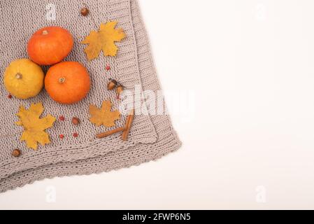 Autumn flat lay. Pumpkins and maple leaves viburnum and cinnamon and ...