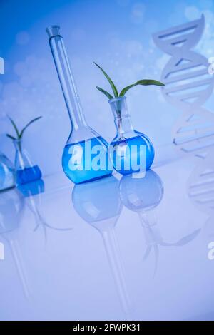 Dna, Plant laboratory experimental, Chemical glassware Stock Photo - Alamy