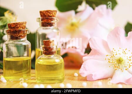 rosehip extract in bottles. Homeopathy. Selective focusnature Stock ...