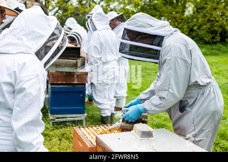 Male and female bee keepers in uniforms holding wooden crates isolated ...