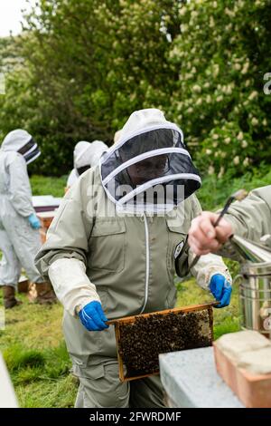 Beekeeping Session At The Teaching Apiary Bee Keepers In Bee Suits