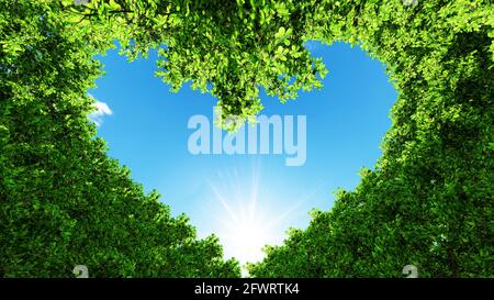 Concept or conceptual heart shape symbol made of forest tree branches ...