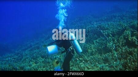 THE DARK HOBBY, 2021. © Paradise Filmworks International / Courtesy ...