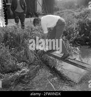 Radioactive frogs at the Amsterdam Nuclear Physics Institute (and ...