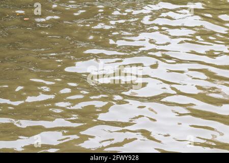 Reflections dirty water from the canal background Stock Photo - Alamy