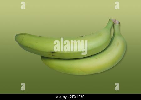green bananas over matching colour gradient background Stock Photo - Alamy