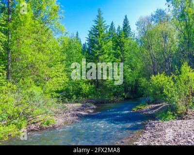 A small stormy river flows through a clearing overgrown with tall grass ...
