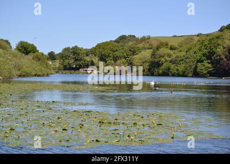 The Mere, Scarborough, Yorkshire Stock Photo - Alamy