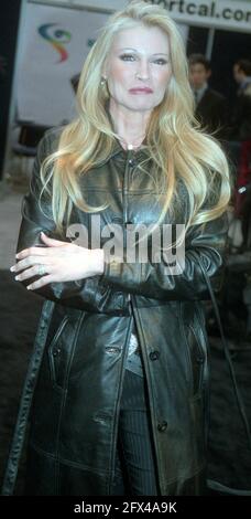 Sable 1998 Photo by John Barrett/PHOTOlink Stock Photo - Alamy