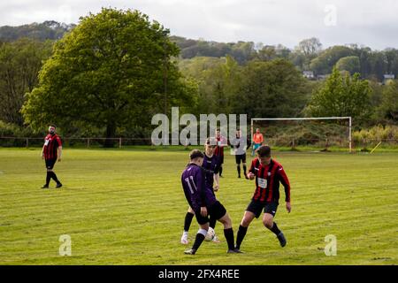 Tondu Robins v Carn Rangers at Pandy Park on the 25th May 2021. Credit ...