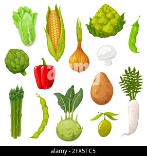 Vegetables Vector Illustration Set. Common Vegetables Cartoon Clipart ...