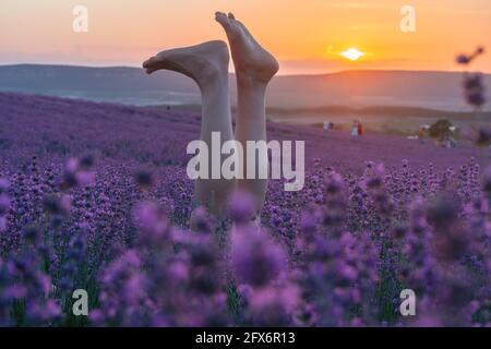 Selective focus. Slender ballerina girl legs in lavender bushes, warm ...