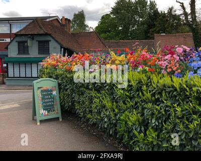 Cobham, Surrey, UK. 26th May 2021. The Ivy Brasserie and Restaurant in ...