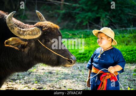 Farmer riding a buffalo on the field at countryside. this lifestyle ...