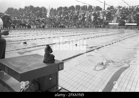 Swimming pool Den Hommel at Utrecht, Toos Benner in action, June 29 ...