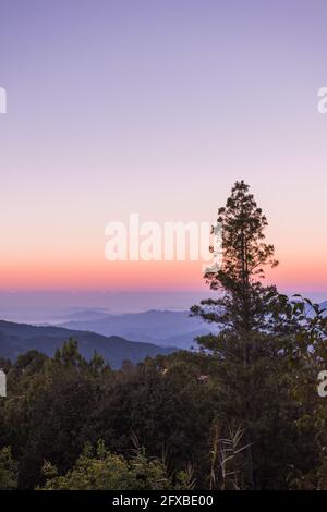 Dramatic purple sunrise over forest. Magic pink Violet light Background ...