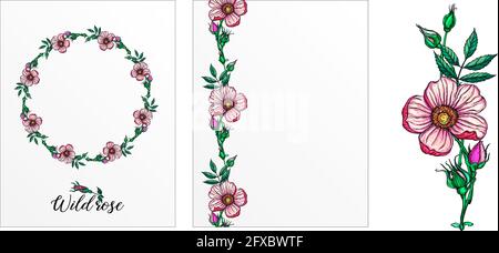 a set of postcards with rose flowers. Pink flowers. Rose Stock Vector ...