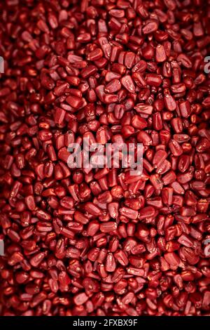 pile of corn kernels as background Stock Photo - Alamy