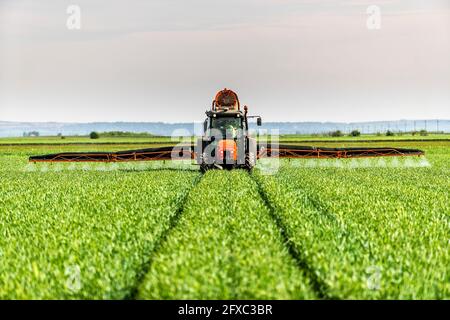 One fertilizer tractor on green fieldbackground above drone view Stock ...