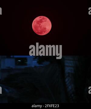 New Delhi, India. 26th May, 2022. Kamal Haasan, Indian actor seen ...