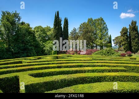 Landscape design manicured box hedge garden triangular arrangement ...