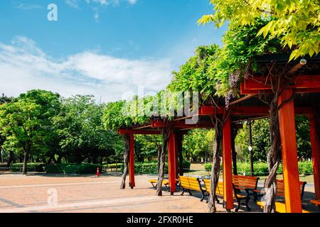 Spring of Yeonji park in Gimhae, Korea Stock Photo - Alamy