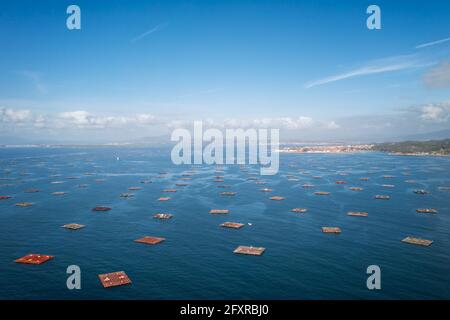 Arousa island drone panorama view of paradise wild beaches Stock Photo ...
