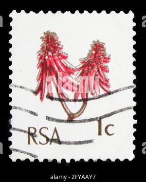 South Africa Postage Stamp - Kafferboom Flower; Coral Tree (Erythrina ...