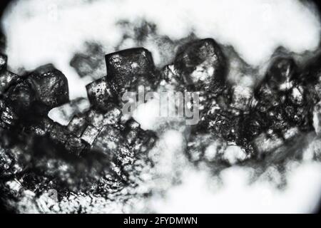 Sugar crystals under microscope, light micrograph, close-up view Stock ...