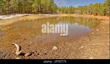 A tiny lake in the Mingus Mountain Recreation Area near Jerome Arizona ...