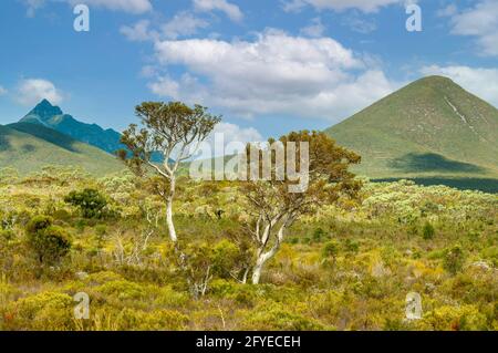 Mountains of Stirling Range, WA, Australia Stock Photo - Alamy