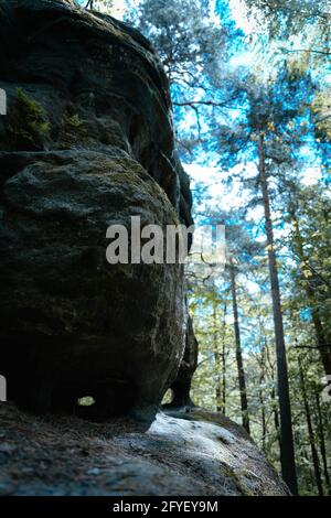 Low angle shot of overgrown rocks and trees with moss in a forest Stock ...