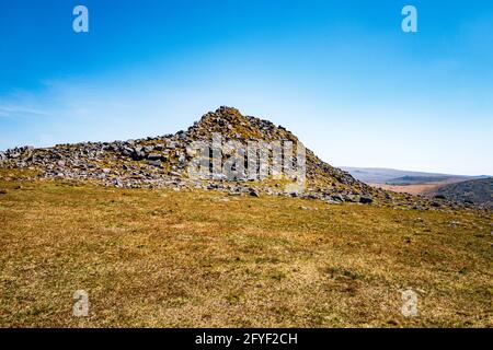 The sharp rocky ridge of Leather Tor resembles a huge dorsal fin rising ...