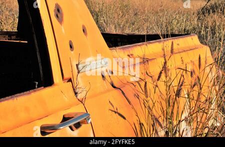 HOLDEN HR UTE Stock Photo - Alamy