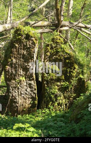 A Large Rock Split in Half. Northern Territory, Australia Stock Photo ...