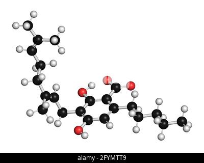 Cannabigerolic acid or CBGA cannabinoid molecule. Stylized skeletal ...