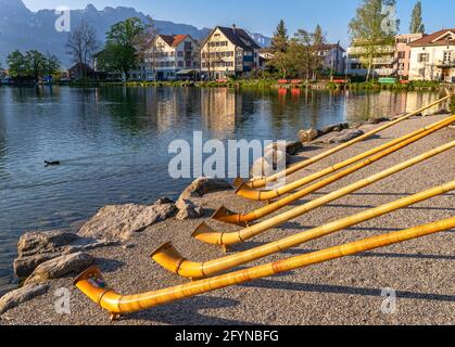 music wood horn switzerland traditional alphorn measure instrument ...