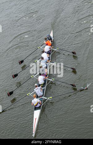 PUTNEY LONDON 29 May 2021 . Rowers practicing on the River Thames near ...