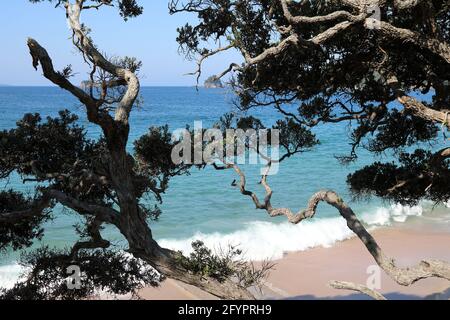 Gemstonebucht Neuseeland / Gemstone Bay New Zealand Stock Photo - Alamy