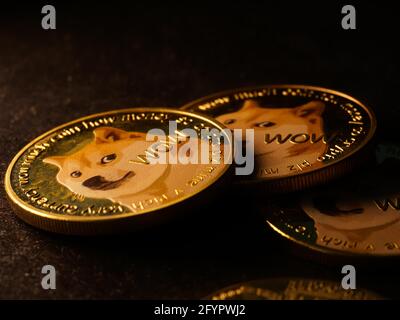 Selective focus shot of a coin with a Shiba Inu dog meme named "Doge ...